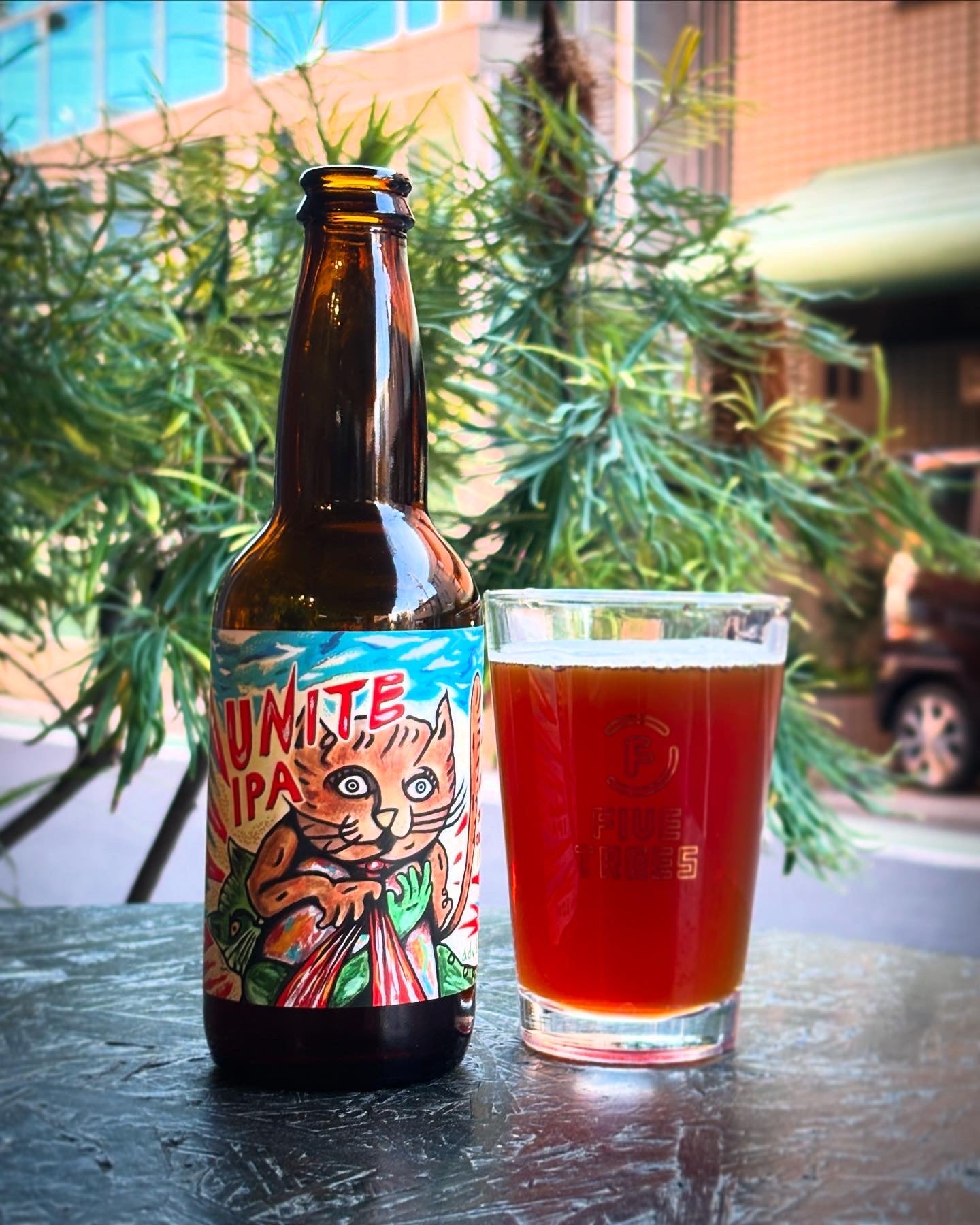 FIVE TREES クラフトビール Assorted set（アソートセット） – FIVE TREES ONLINE STORE